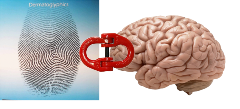 DMIT Software Report Generation, Best DMIT Software in India